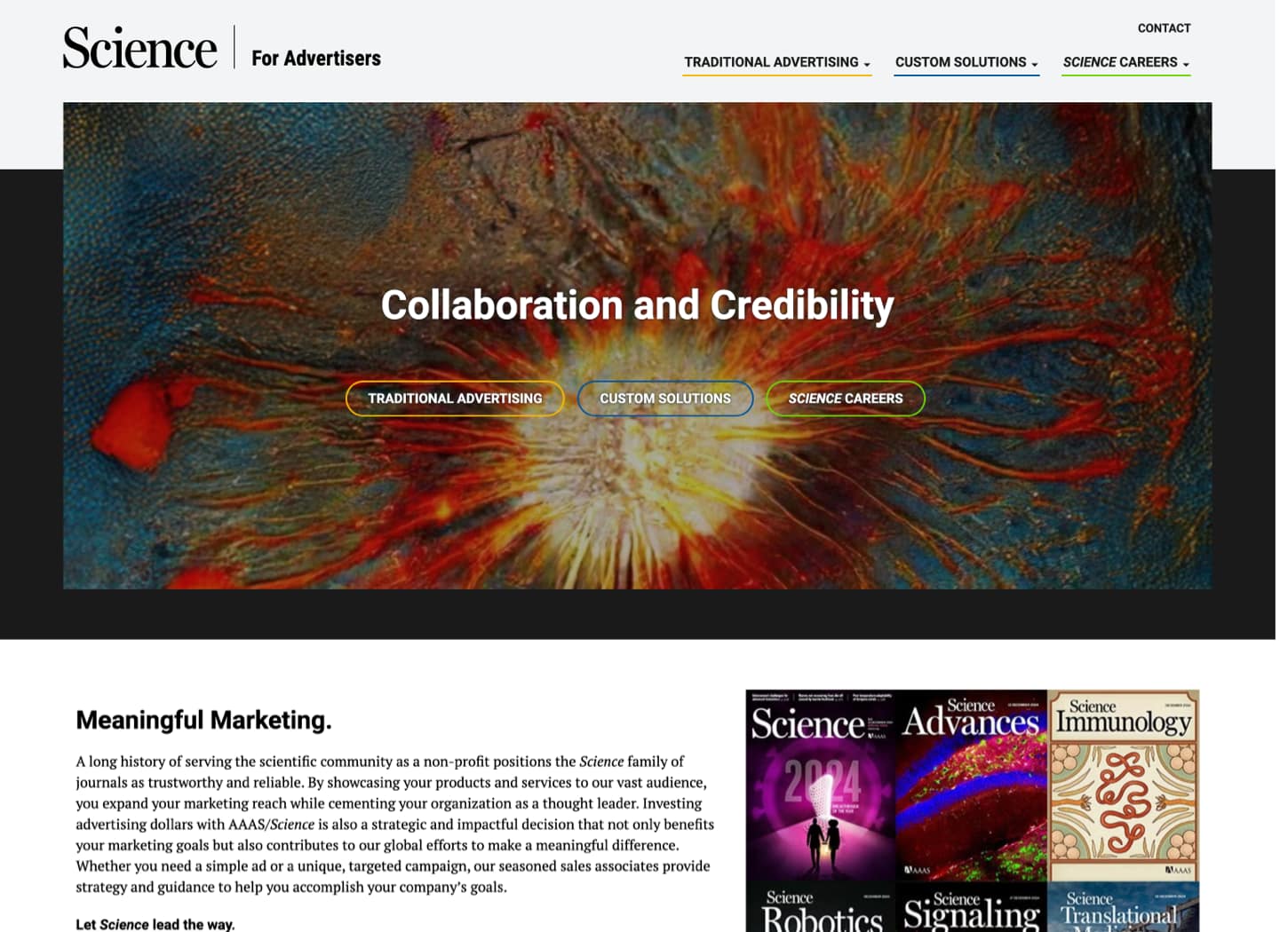 Dupont Creative | DC Web Design Agency