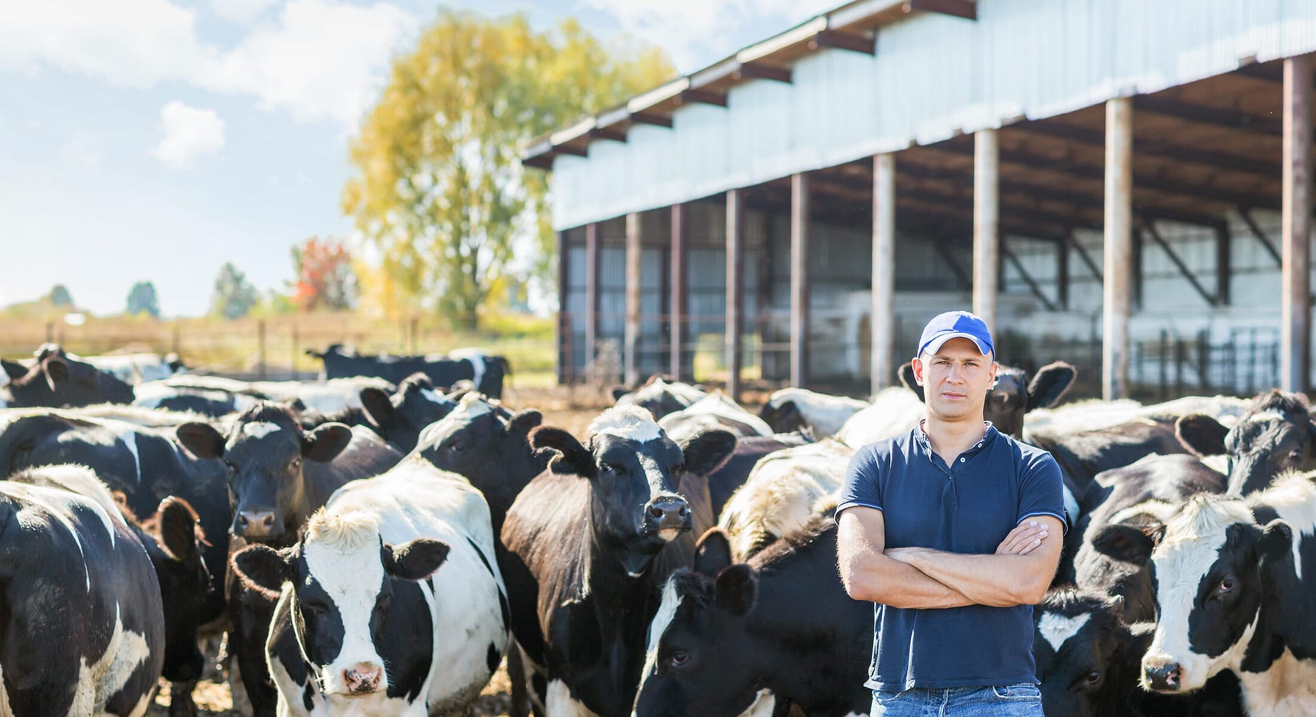 National Milk Producers Federation - Dupont Creative